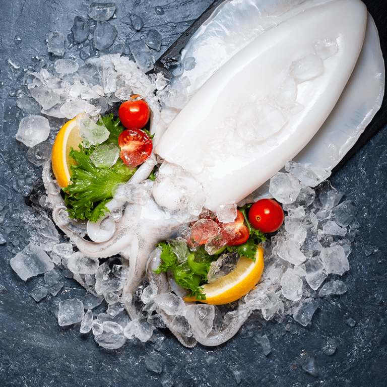 Cuttlefish | FreshCatch