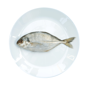 Buy Fresh Wild-Caught Jesh Fish Online | FreshCatch