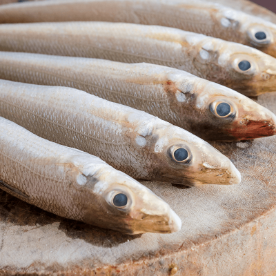 Buy Ladyfish Fresh Online | FreshCatch - Eat Fish,have it Fresh