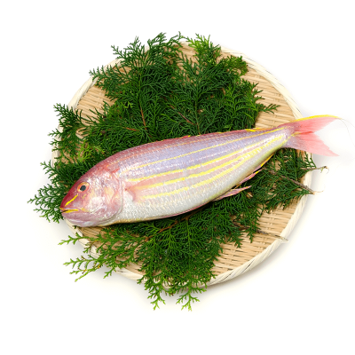 Buy Fresh Local Wild-Caught Sultan Ibrahim Online| FreshCatch